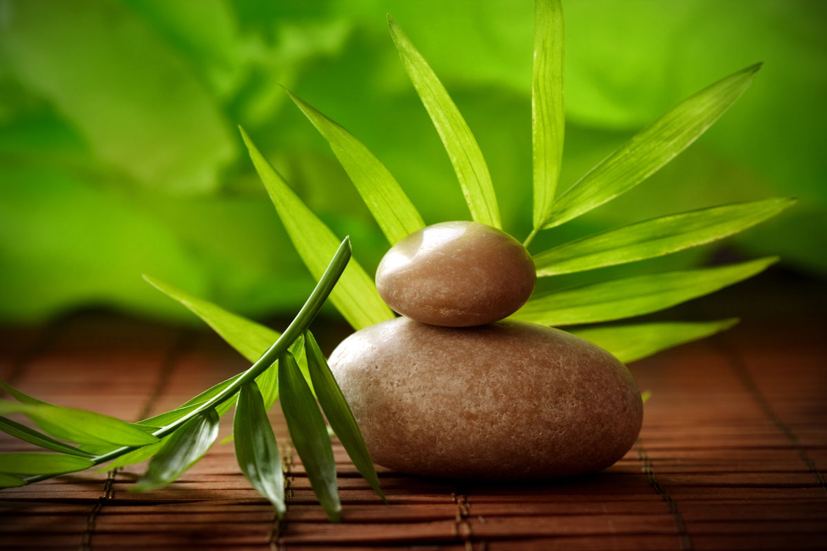 4 Ways Acupuncture Supports Women's Health » GenWell Acupuncture ...